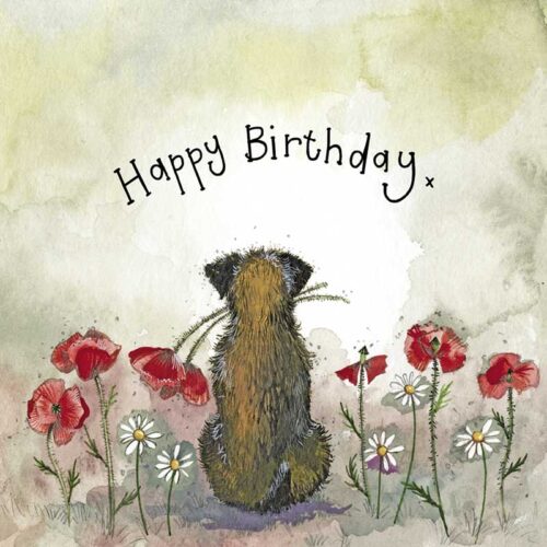 Sunshine Border and Poppies Birthday Card - Oakhill Veterinary Group ...