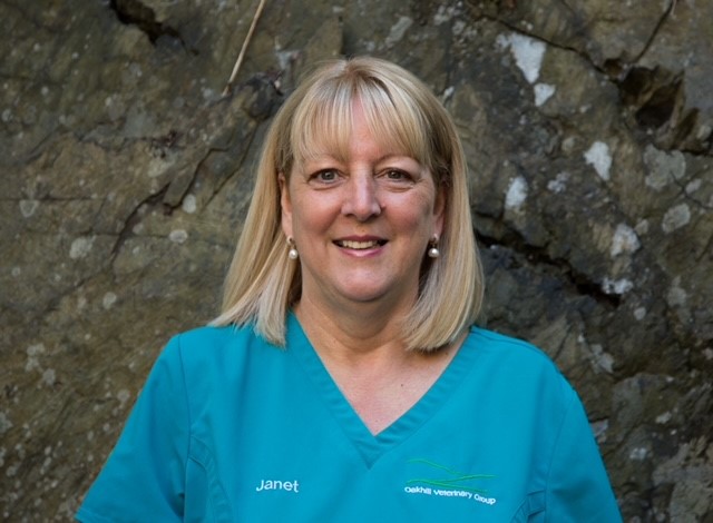Team - Oakhill Veterinary Group - Windermere Vets